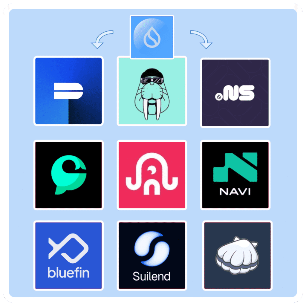 The Ultimate SUI Ecosystem Deep Dive: Top 10 + Projects Powering the ...